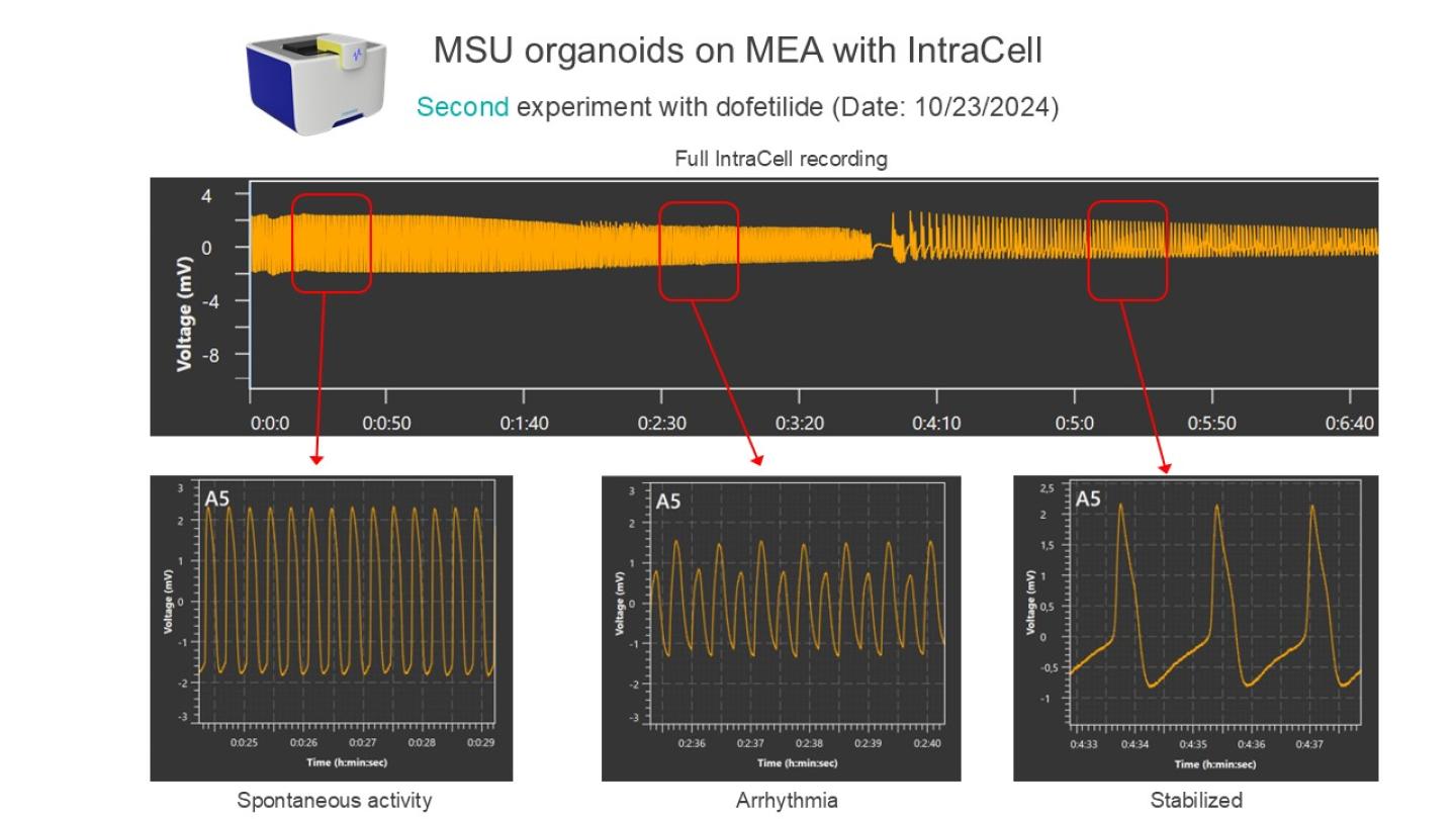 How Laser-Enabled MEA Technology Unlocks Action Potential Insights in ...