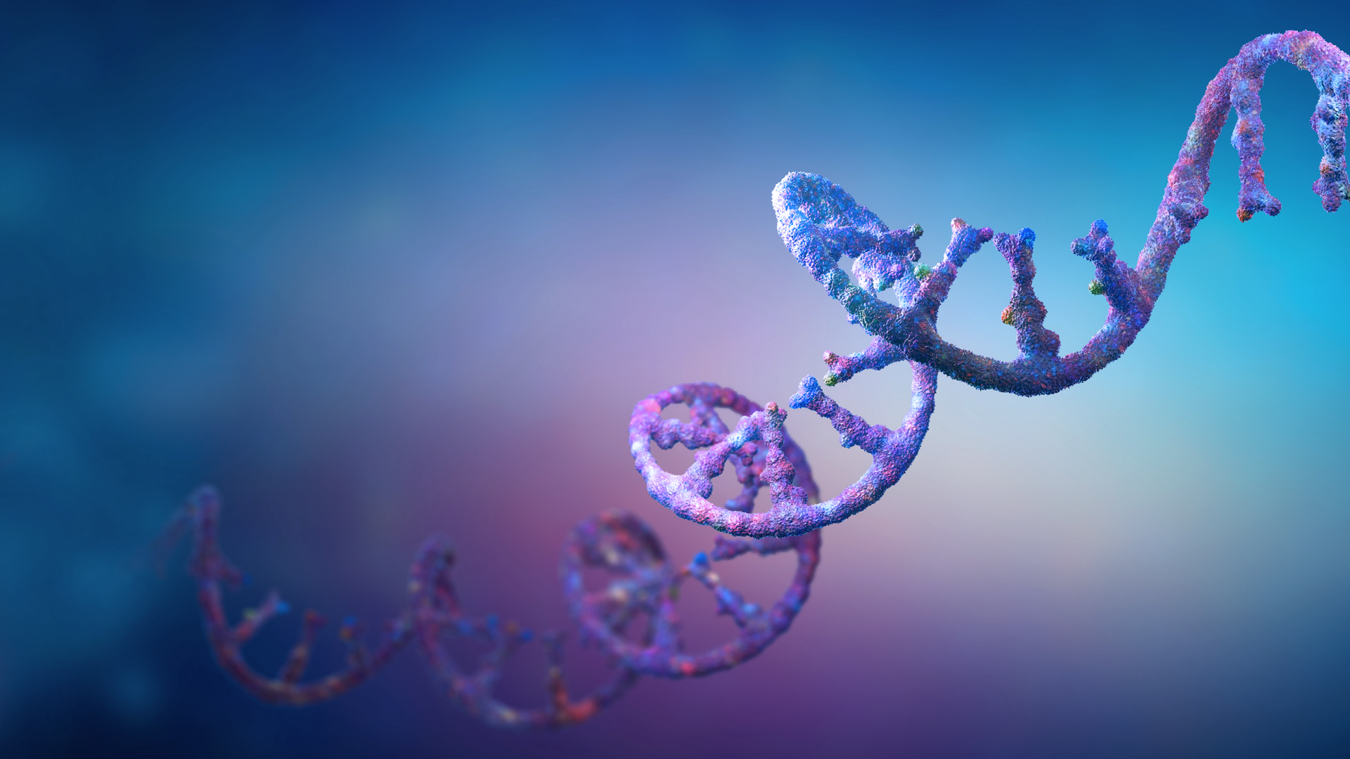 Certificates of Analysis | Harvard Bioscience