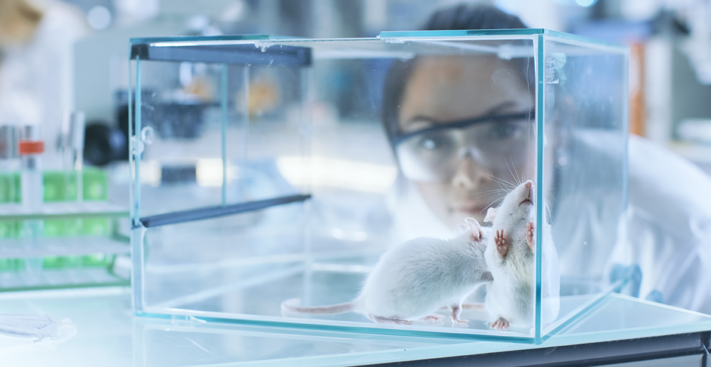 SoHo™ Implantable Telemetry | Harvard Bioscience