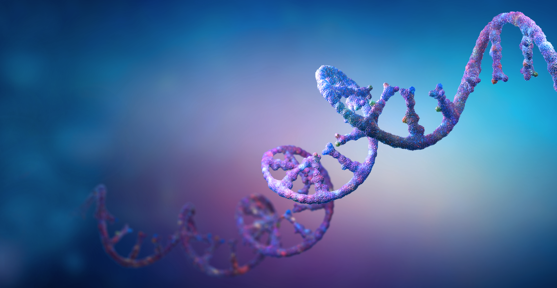 Biochrom | Harvard Bioscience